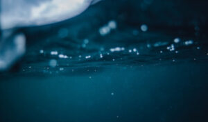 Home - Acorn Insurance Group